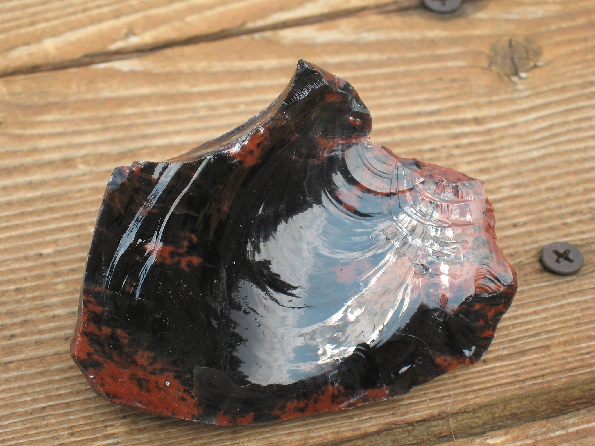 Glass Buttes Dragonglass AKA Obsidian - bend branches