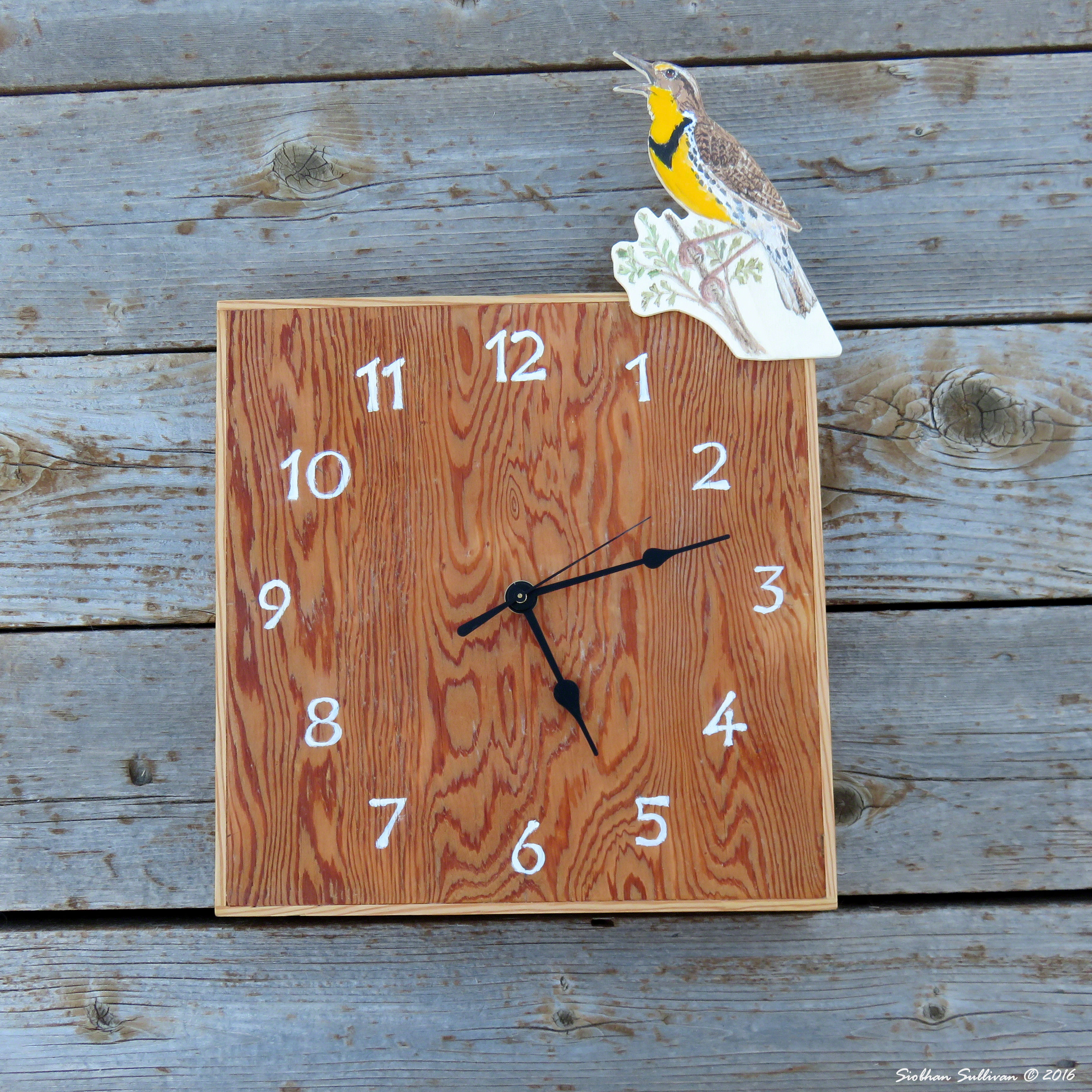 Meadowlark Time - A handmade clock - bend branches