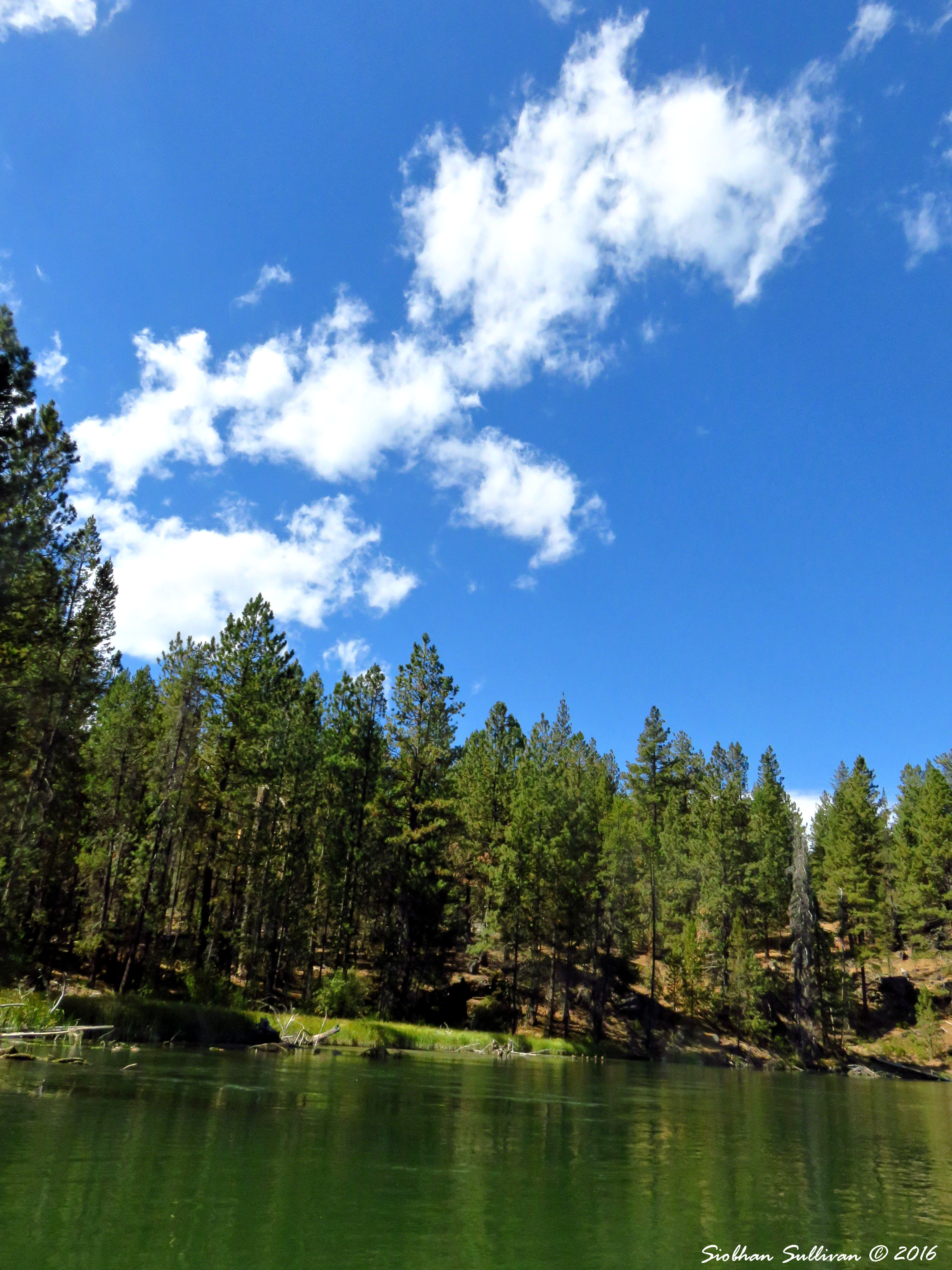 Deschutes River kayaking: Harpers Bridge-Benham Falls - bend branches