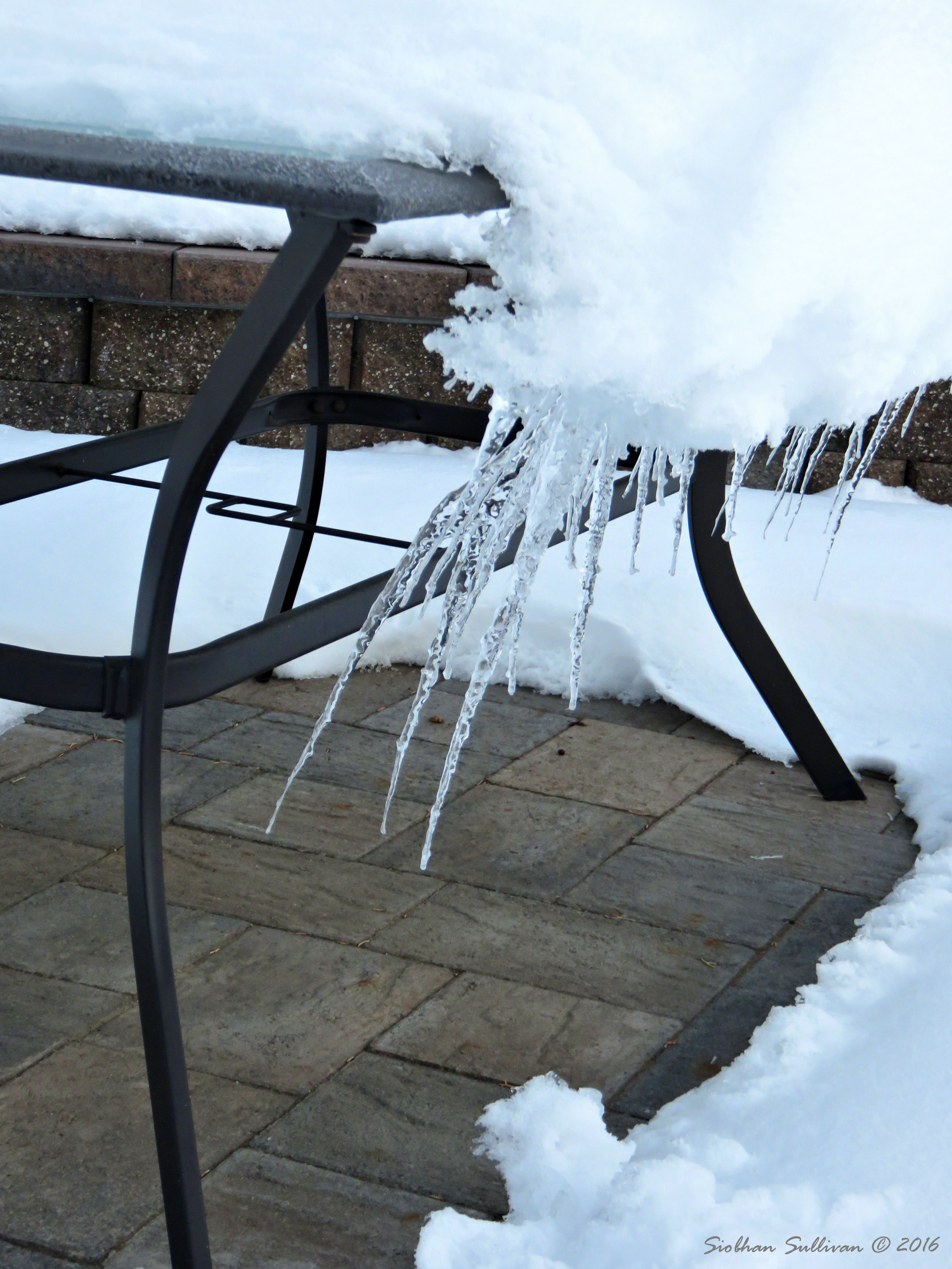 Icicle Edge: Weekly Photo Challenge - bend branches
