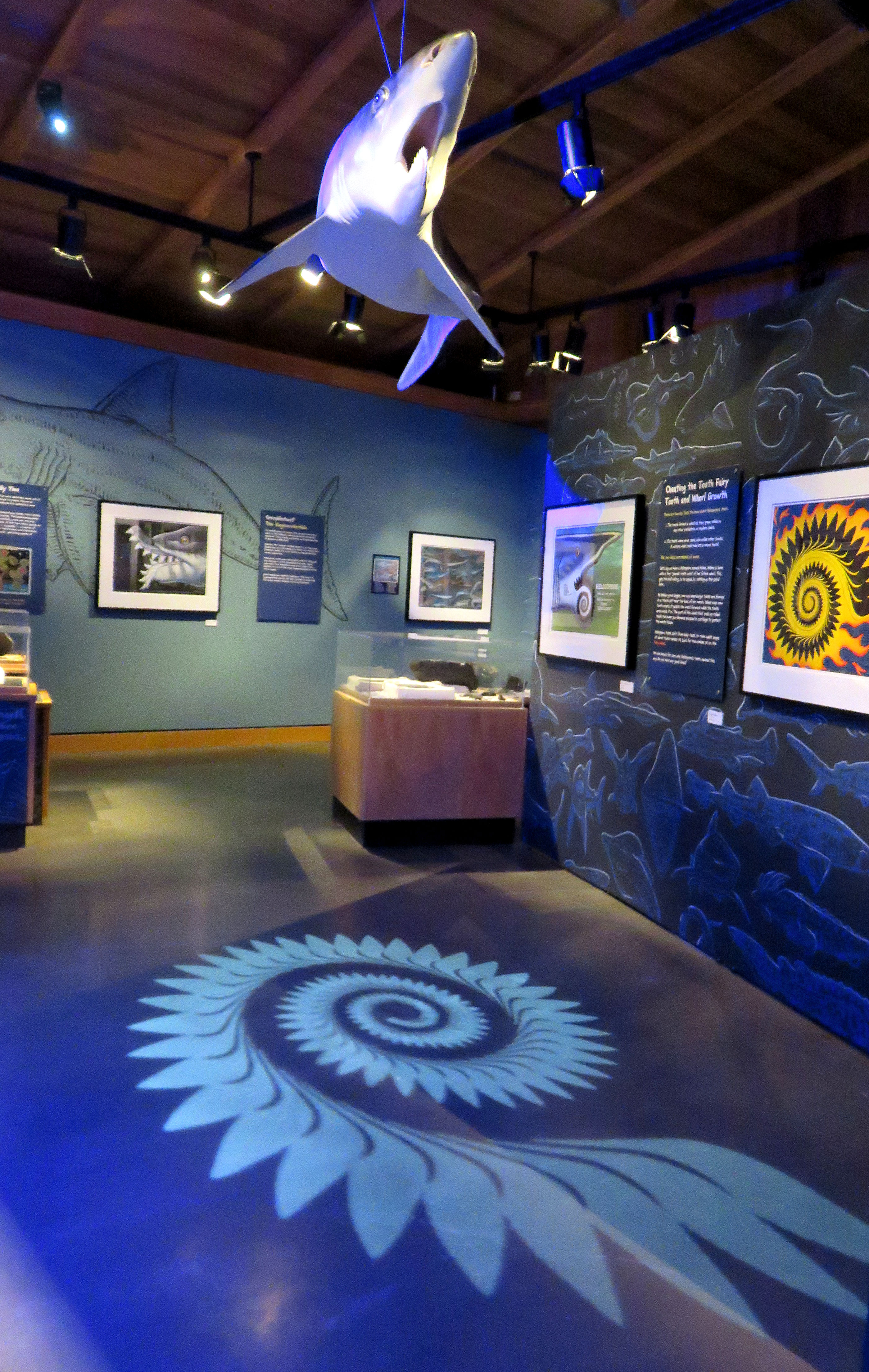 Buzzsaw Sharks exhibit - photos and information from a past exhibit at ...