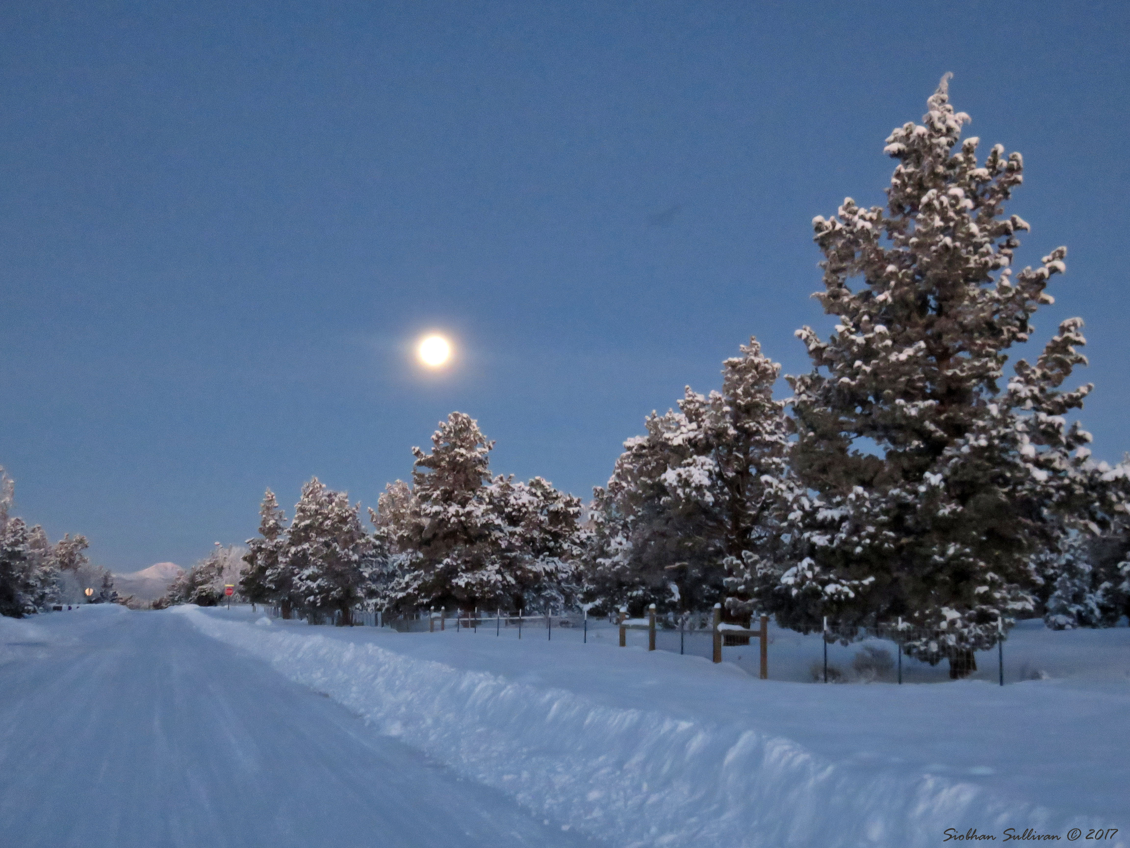 Wordless Wednesday: A wintery moonset - bend branches