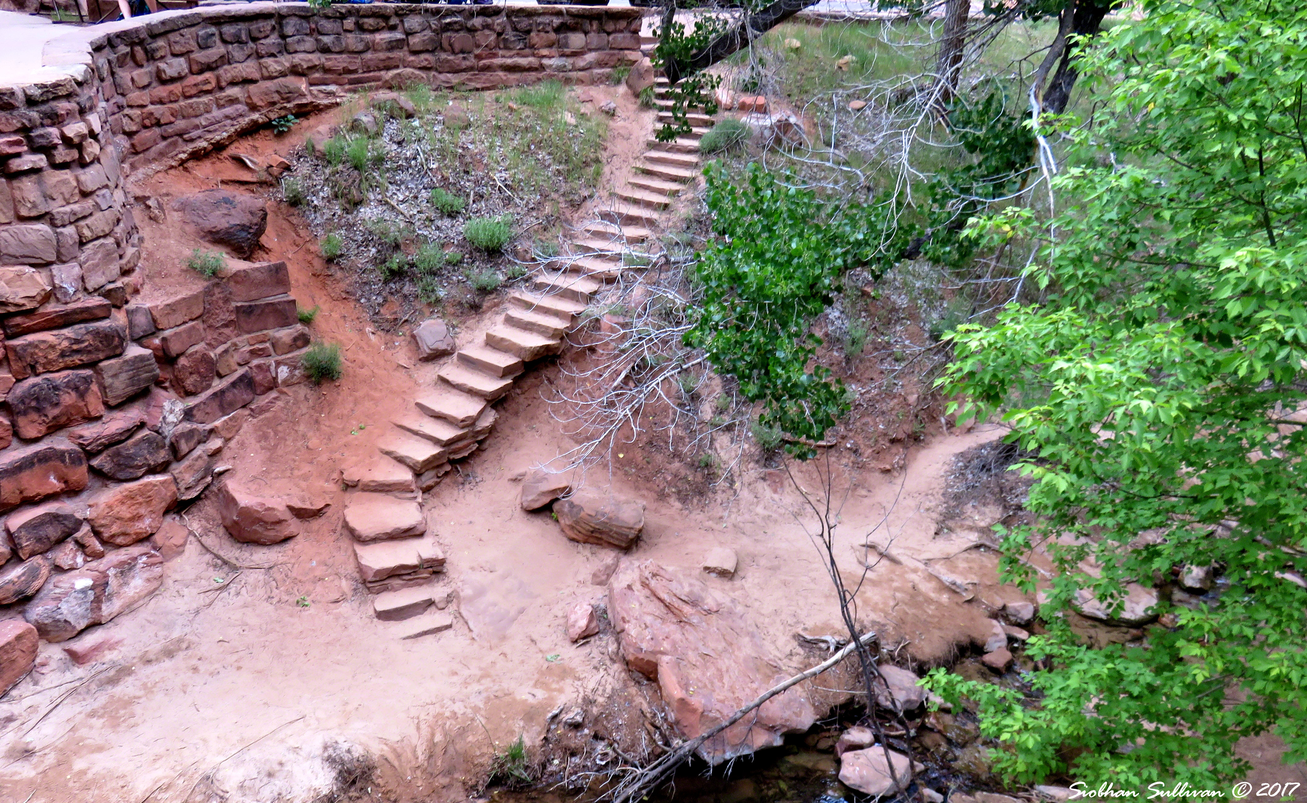 Stone steps ascending - bend branches