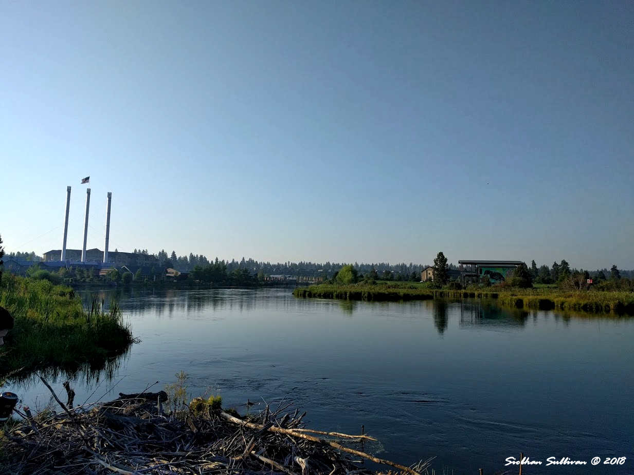 Mill A Loop - Deschutes River Trail - bend branches