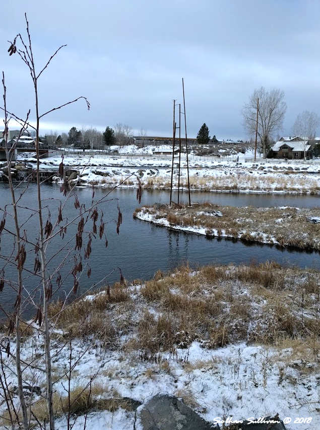 Mill A Loop - Deschutes River Trail - bend branches