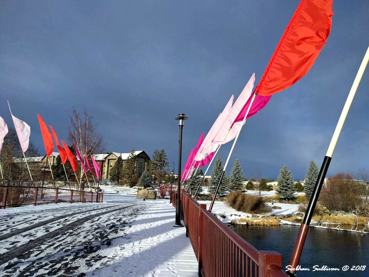 Mill A Loop - Deschutes River Trail - bend branches