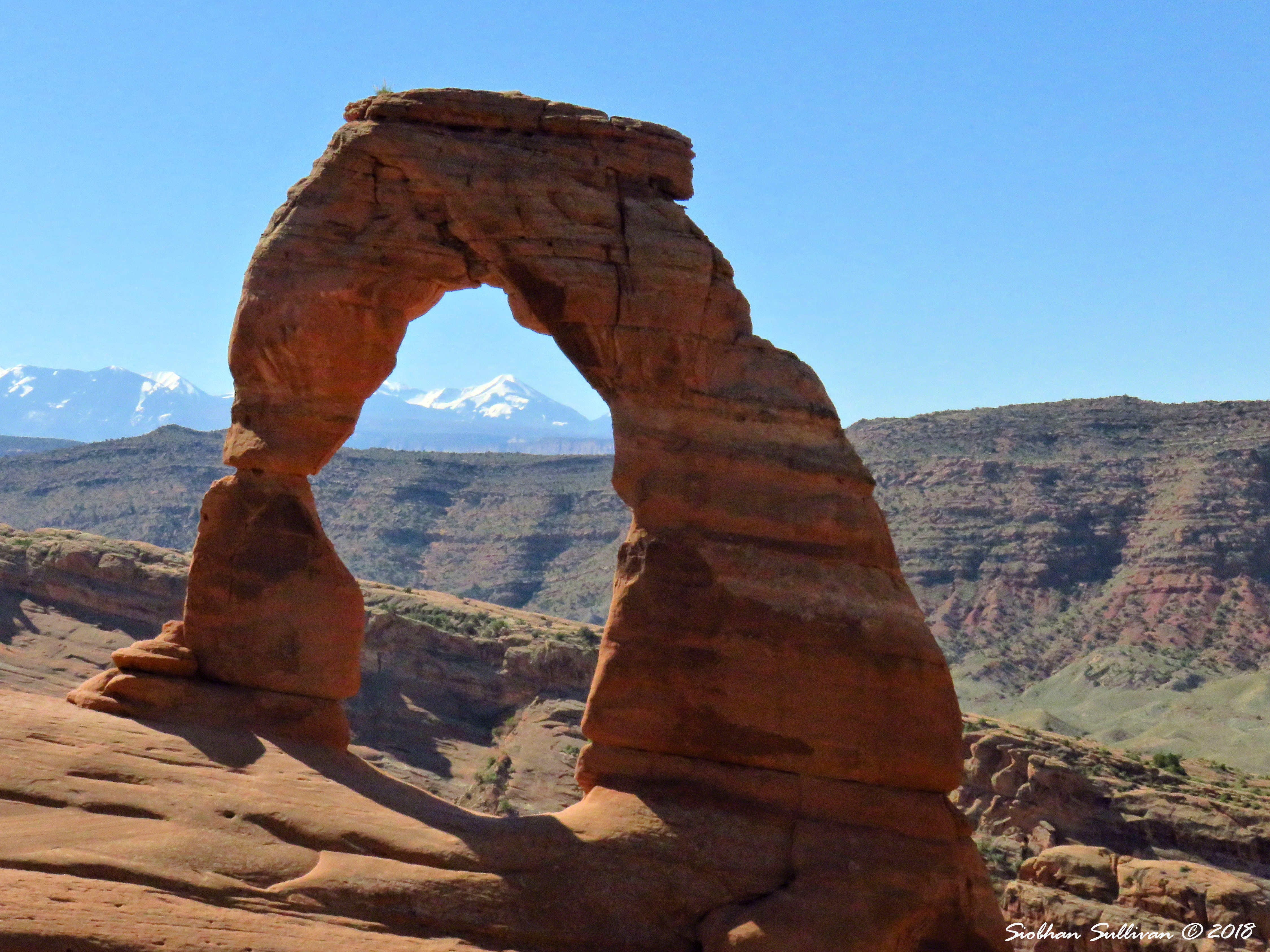 Delicate Arch - Beloved Icon: CFFC - bend branches