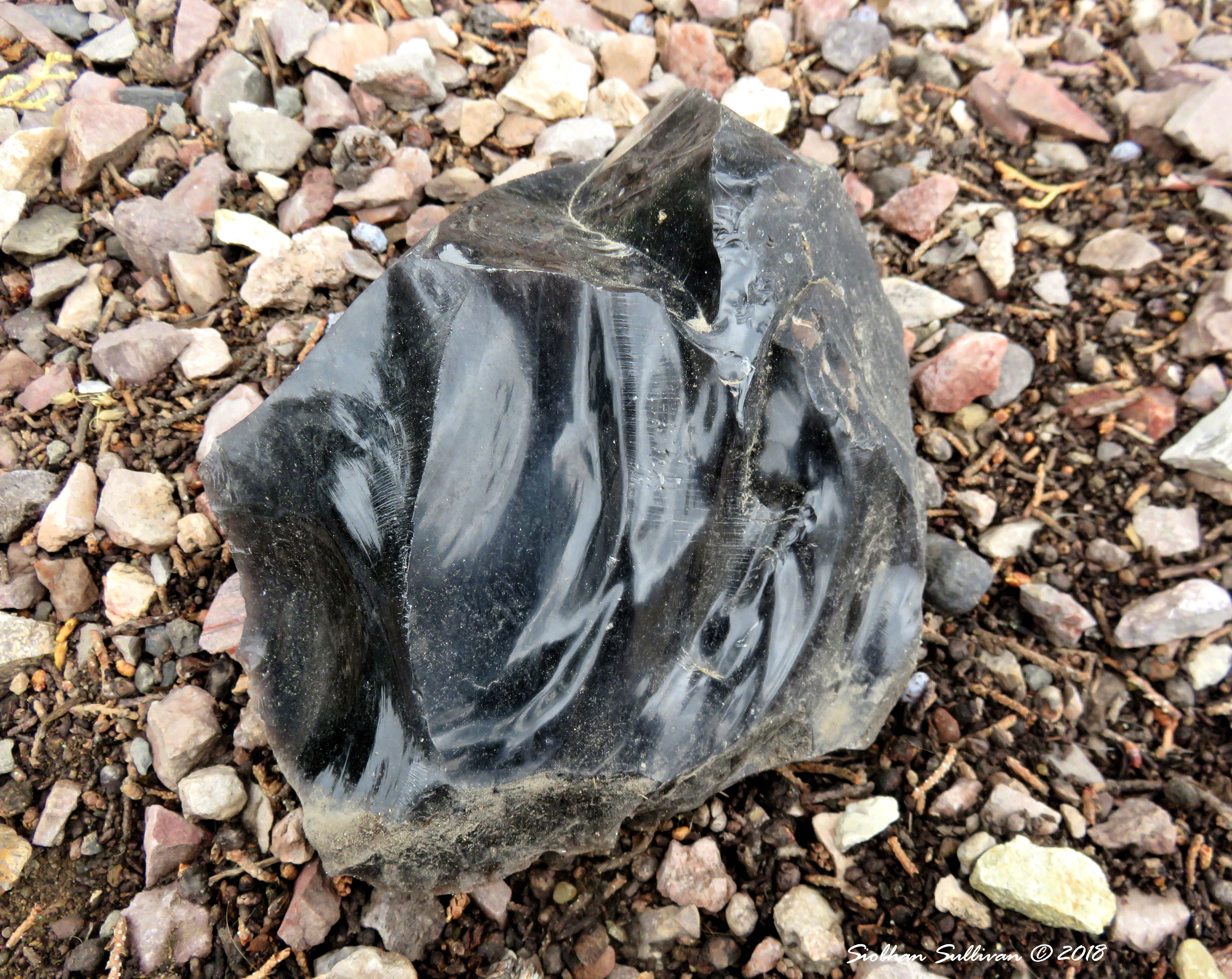 Glass Buttes obsidian field trip - bend branches