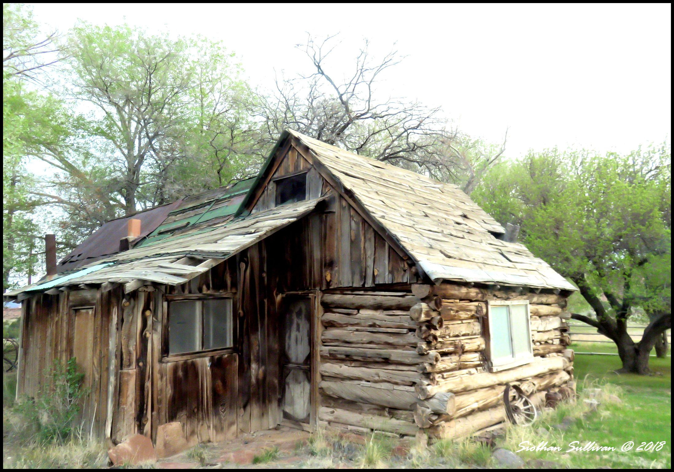 Log Cabin Scene: Tuesday Photo Challenge - bend branches