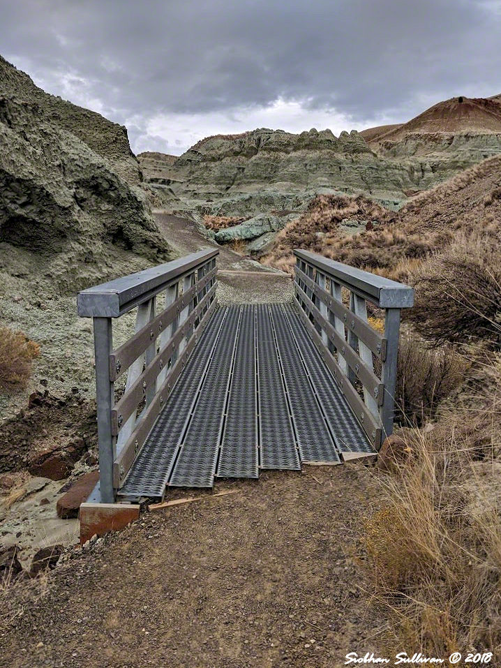 Blue Basin Bridge: Wordless Wednesday - bend branches