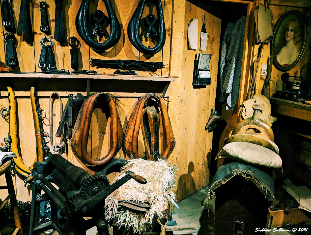 Horse Saddle Shop