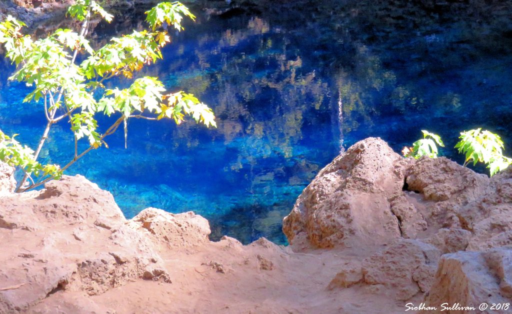 Blue Pool Reflections: LAPC - bend branches