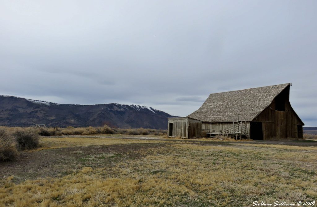River Ranch Barn - Seasoned by the Seasons: LAPC - bend branches