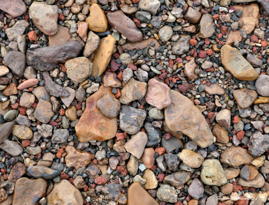 Roadside Rocks in Malheur NF: Wordless Wednesday - bend branches