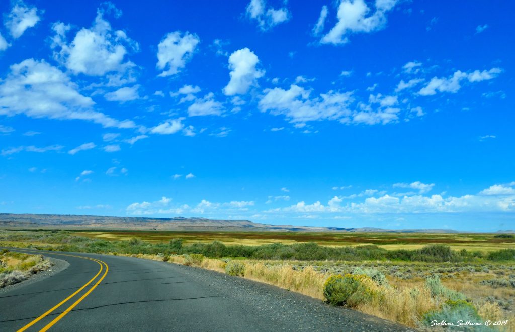 In this land...Oregon countryside : LAPC - bend branches