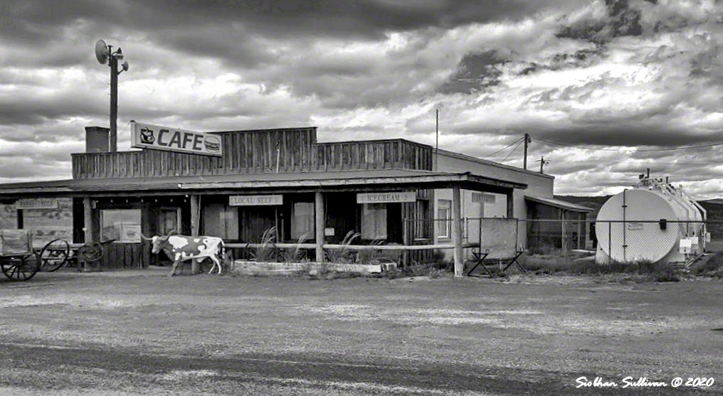 Hampton in Oregon: Monochrome Monday - bend branches