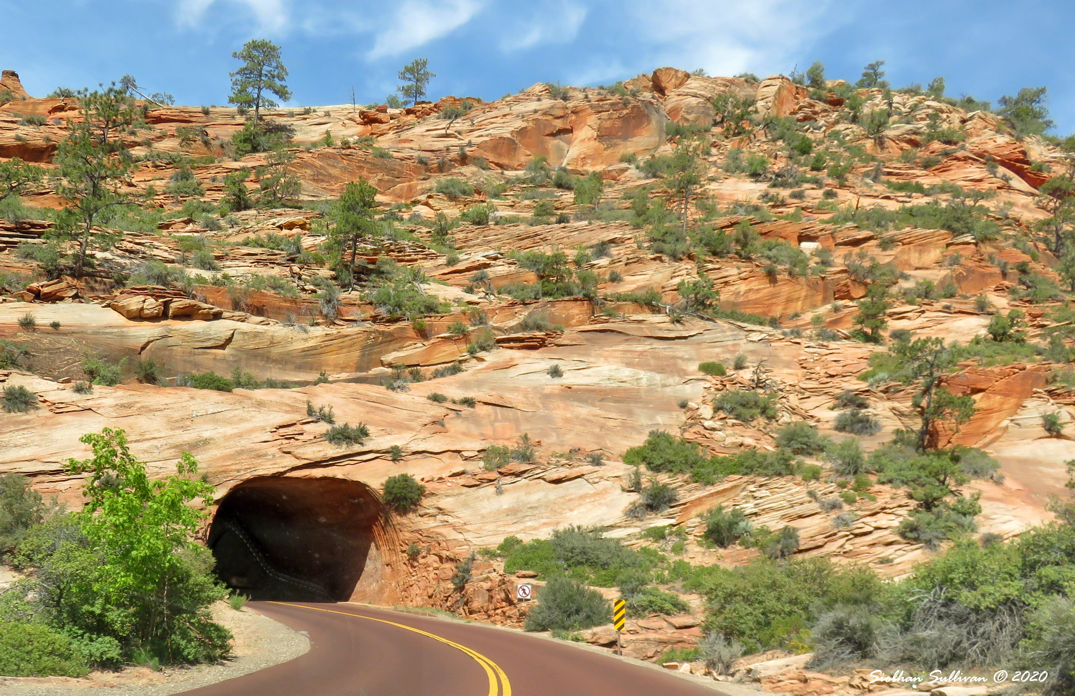 Wandering the roads of Utah: LAPC - bend branches