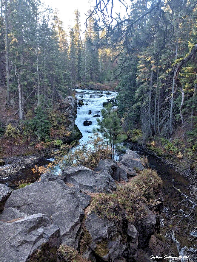 Benham Falls, Deschutes River: Wordless Wednesday - bend branches