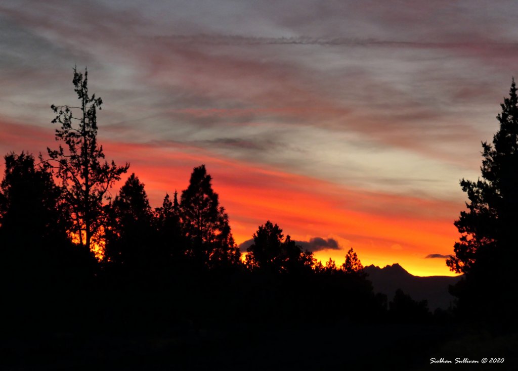 October High Desert Sunset: Wordless Wednesday - bend branches