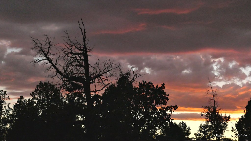 A brooding High Desert sunset: Wordless Wednesday - bend branches