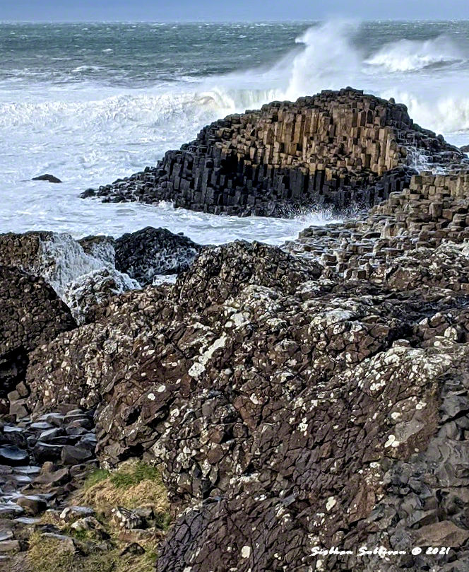 Oceans of Emotion - Ireland & Northern Ireland: LAPC, OWS - bend branches