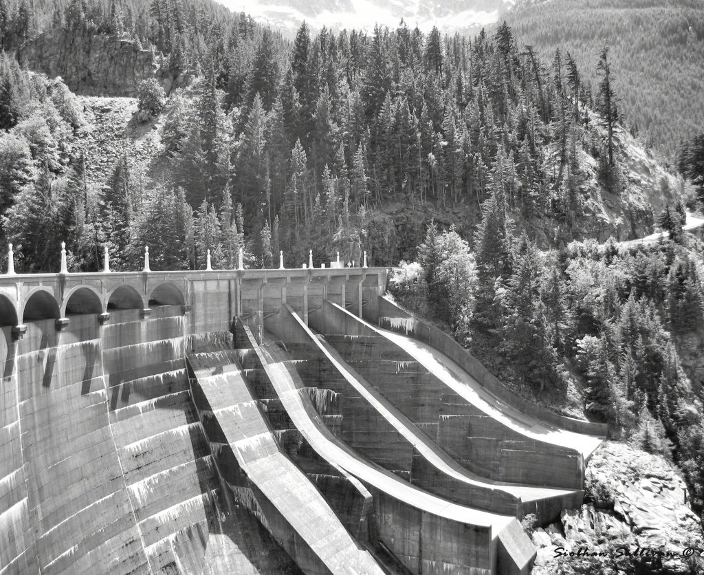 Diablo Dam in black & white: Monochrome Monday - bend branches