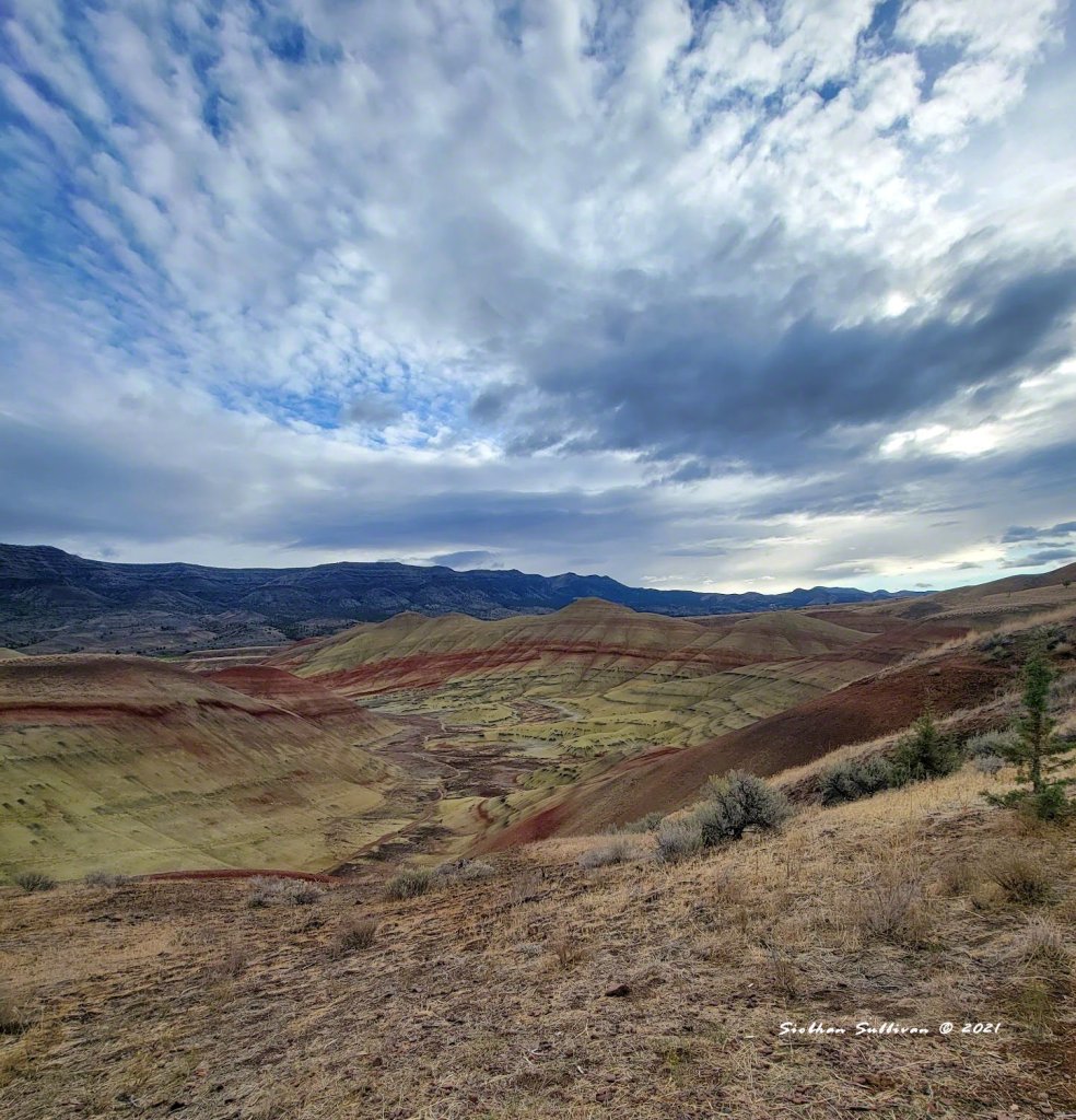Painted Hills - An origin myth: WWP - bend branches