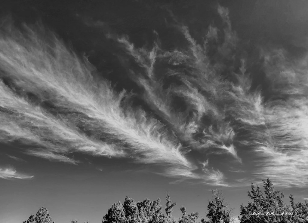 Dragons breathing fire - haiku: Haiku Challenge & MWM - bend branches