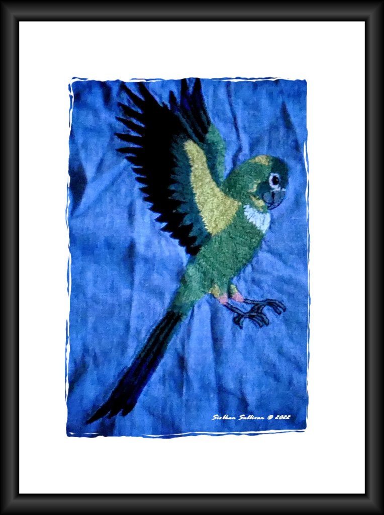 Nanday Conure embroidery: First Friday Art - bend branches