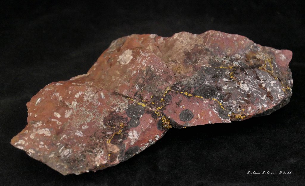 Jasper shown up close: Macro Monday - bend branches