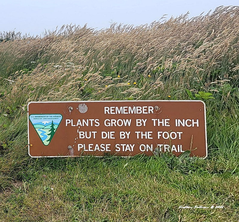 Gentle reminder sign: Wordless Wednesday - bend branches