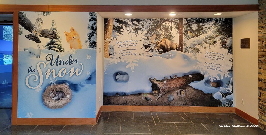 Under the Snow Exhibition - bend branches