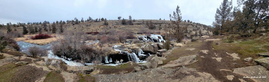 Icy Cline Falls: Sunday Stills - bend branches