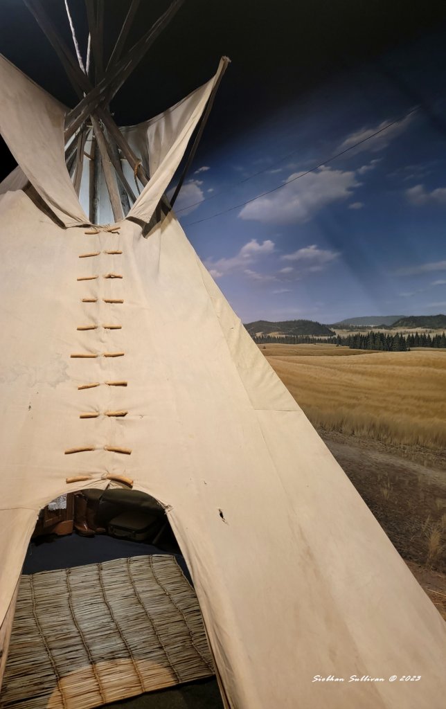 A tall tipi: Wordless Wednesday - bend branches