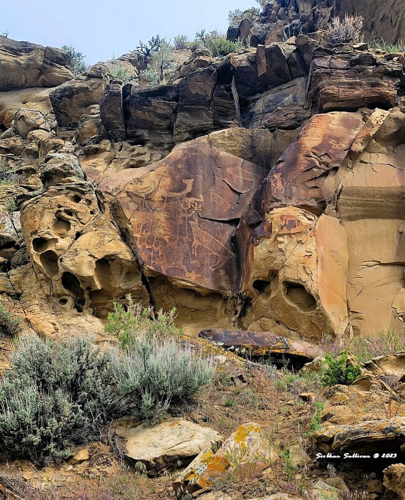 Legend Rock petroglyphs: LAPC - bend branches