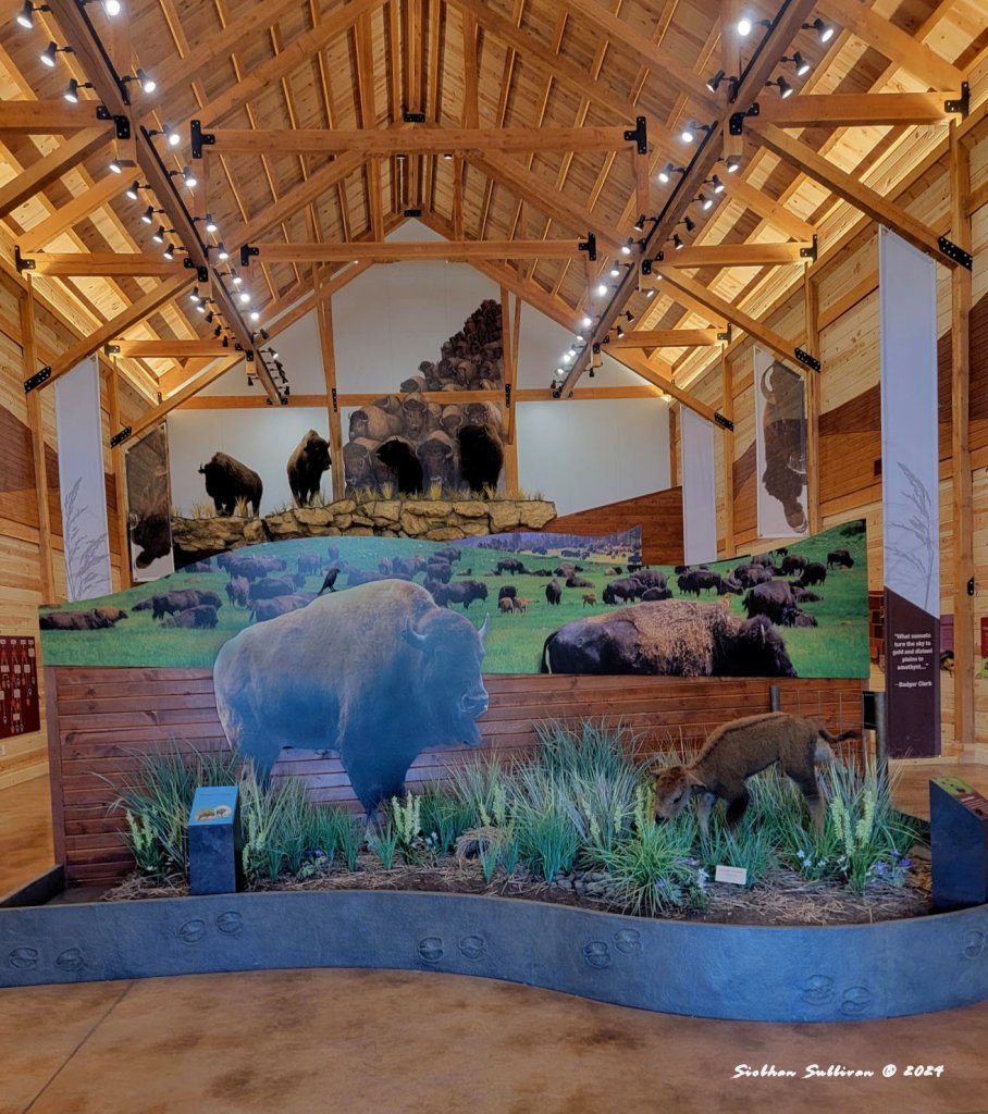 Bison Center: Wordless Wednesday - bend branches