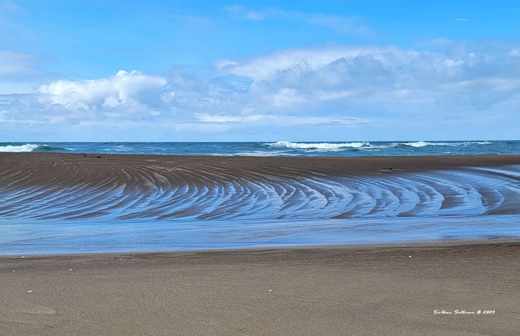 Near the ocean's shore: LAPC & WS - bend branches