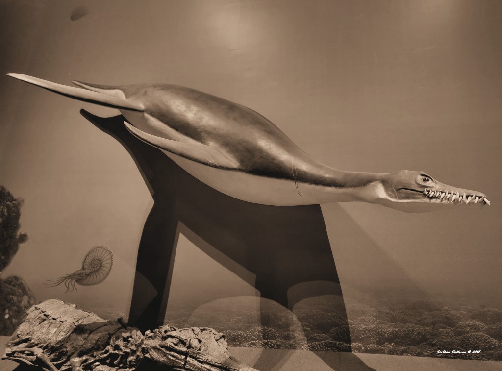 Plesiosaur model: Monochrome Monday - bend branches