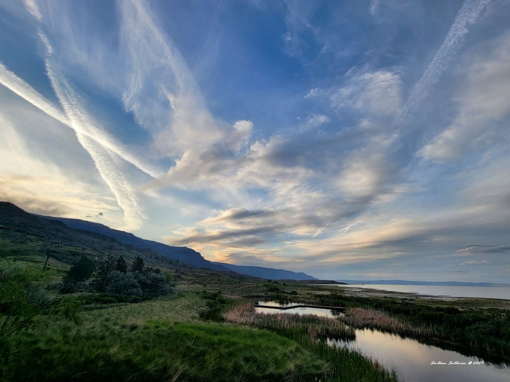 Remnants of sunlight haiku: WWE & WS - bend branches