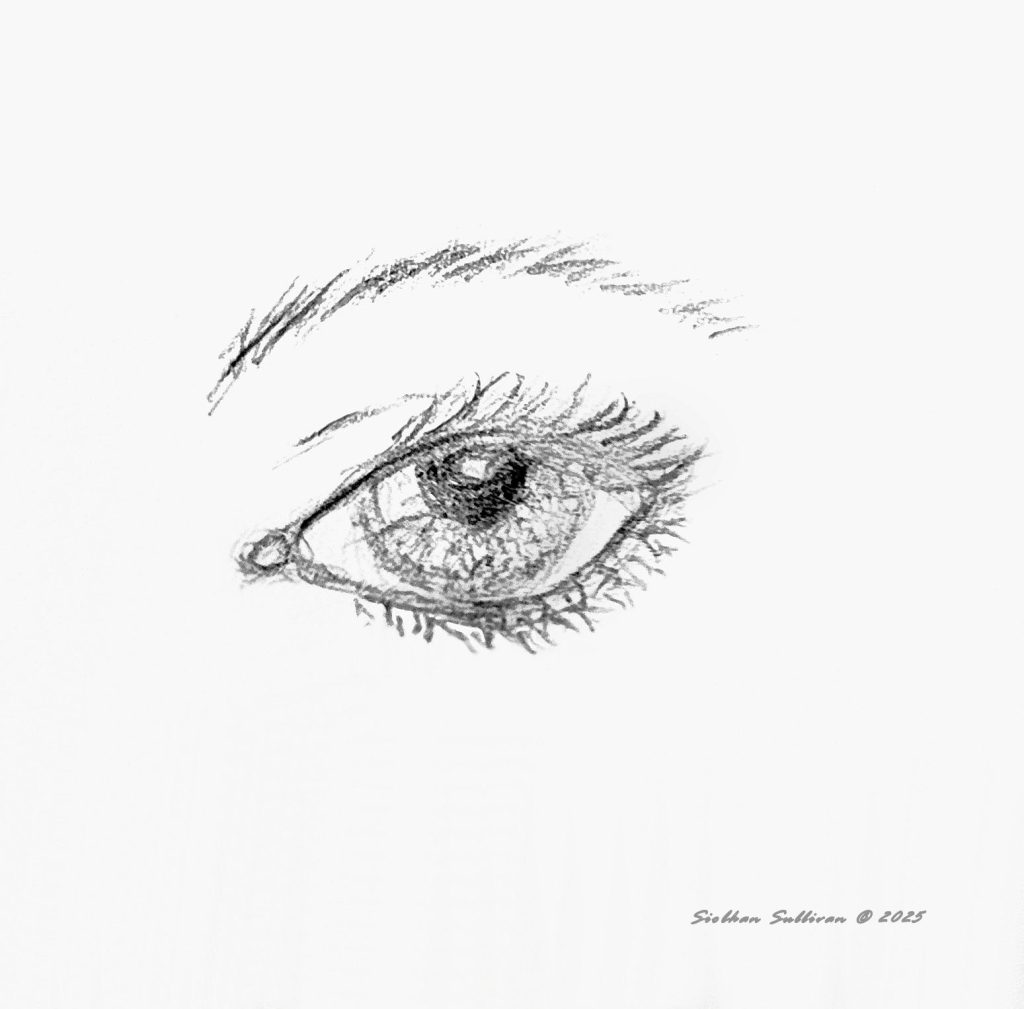 Eye drawings and paintings: FFA - bend branches