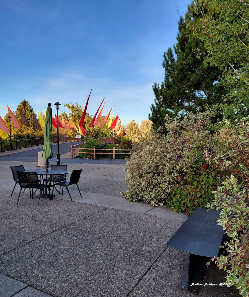 Fall seating: Pull up a Seat - bend branches
