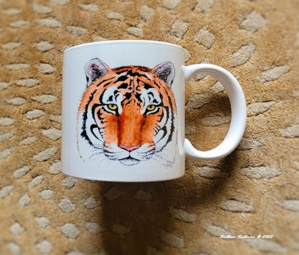 Tiger mug & photo: First Friday Art - bend branches