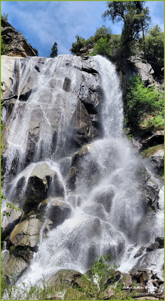 waterfalls: Water Water Everywhere - bend branches