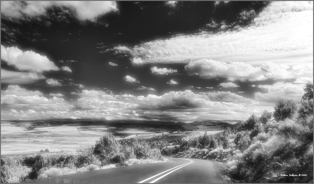 Road to Frenchglen: Monochrome Monday - bend branches